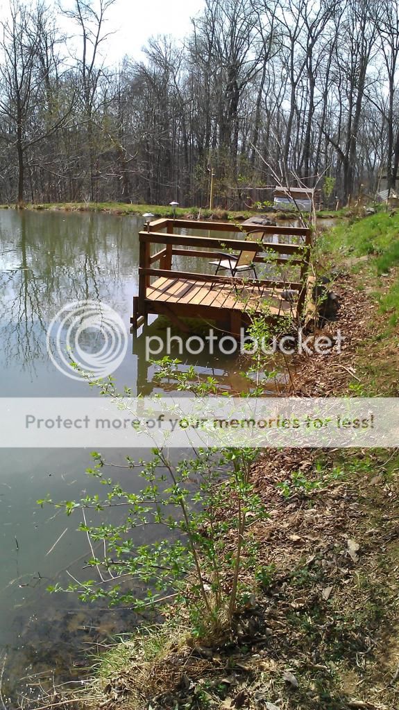 Help with a small spring fed pond. In VA (Pics) - Pond Boss Forum